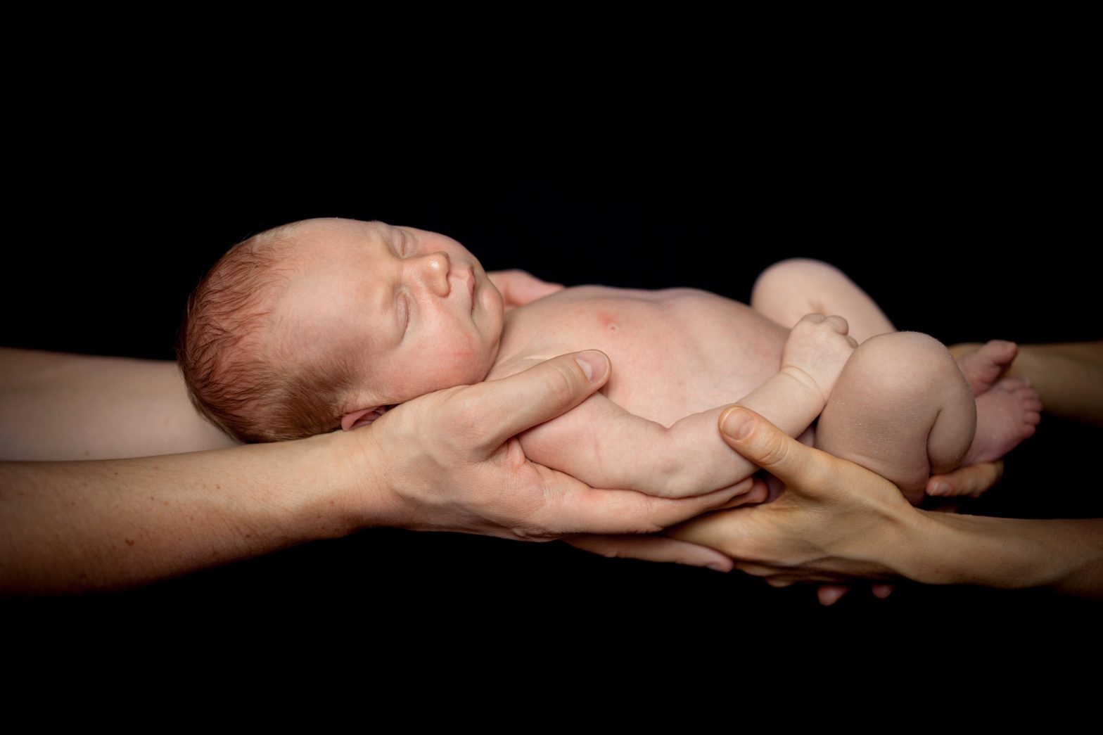 Catholic Church’s Teaching on the Human Person - Diocese of Saint ...