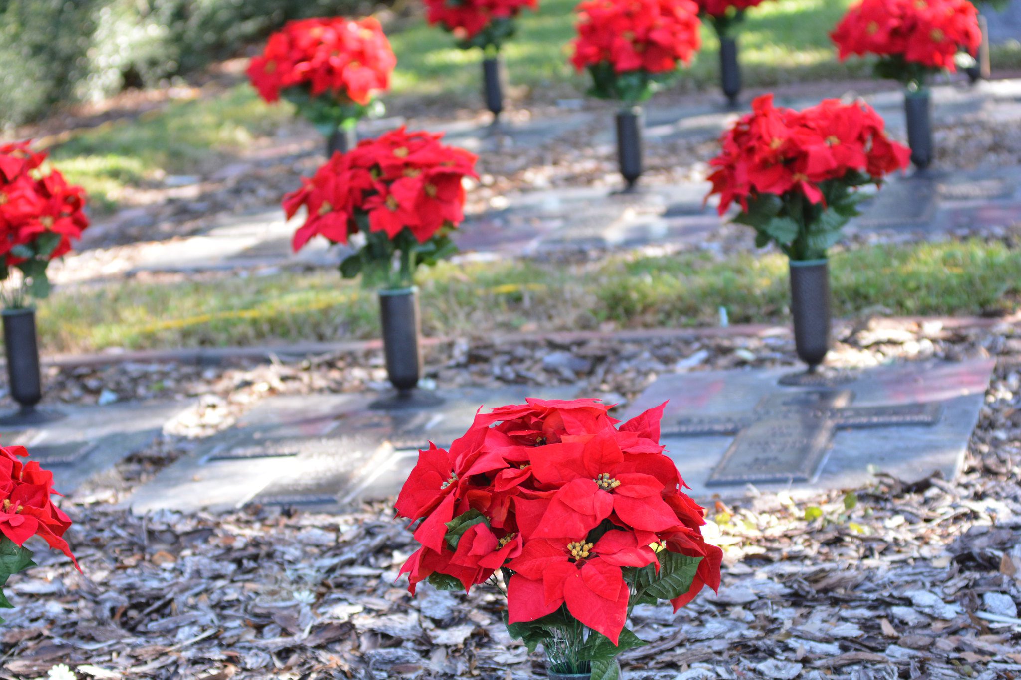 Bishop Gregory Parkes will Celebrate an Outdoor Mass in Clearwater on ...
